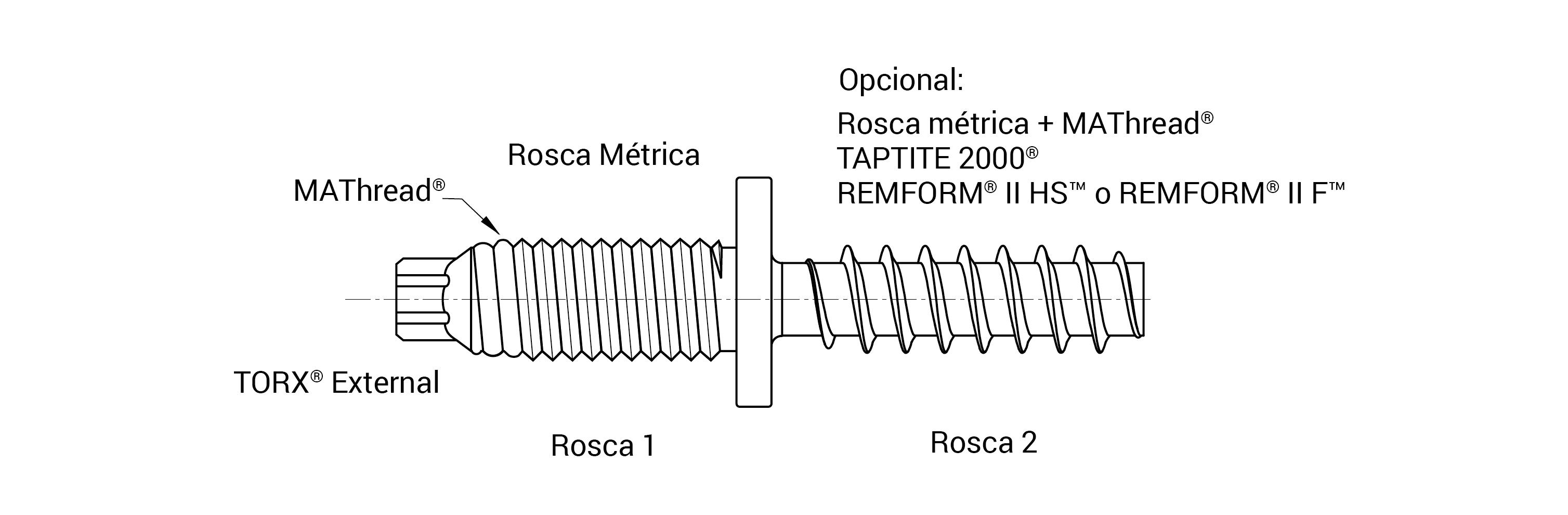 Espárragos doble rosca - CELO